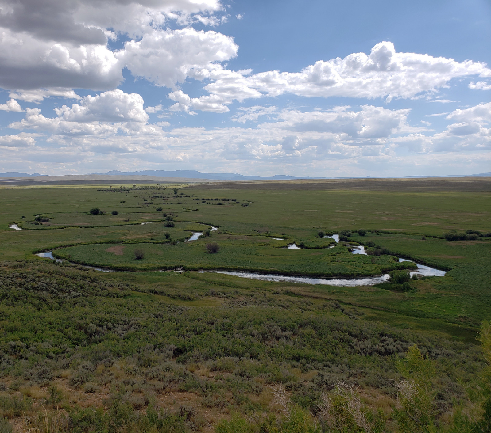 Meet Don Estep | CANSSI Director